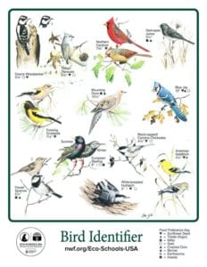 Let's Go Birding - NWF Green Hour