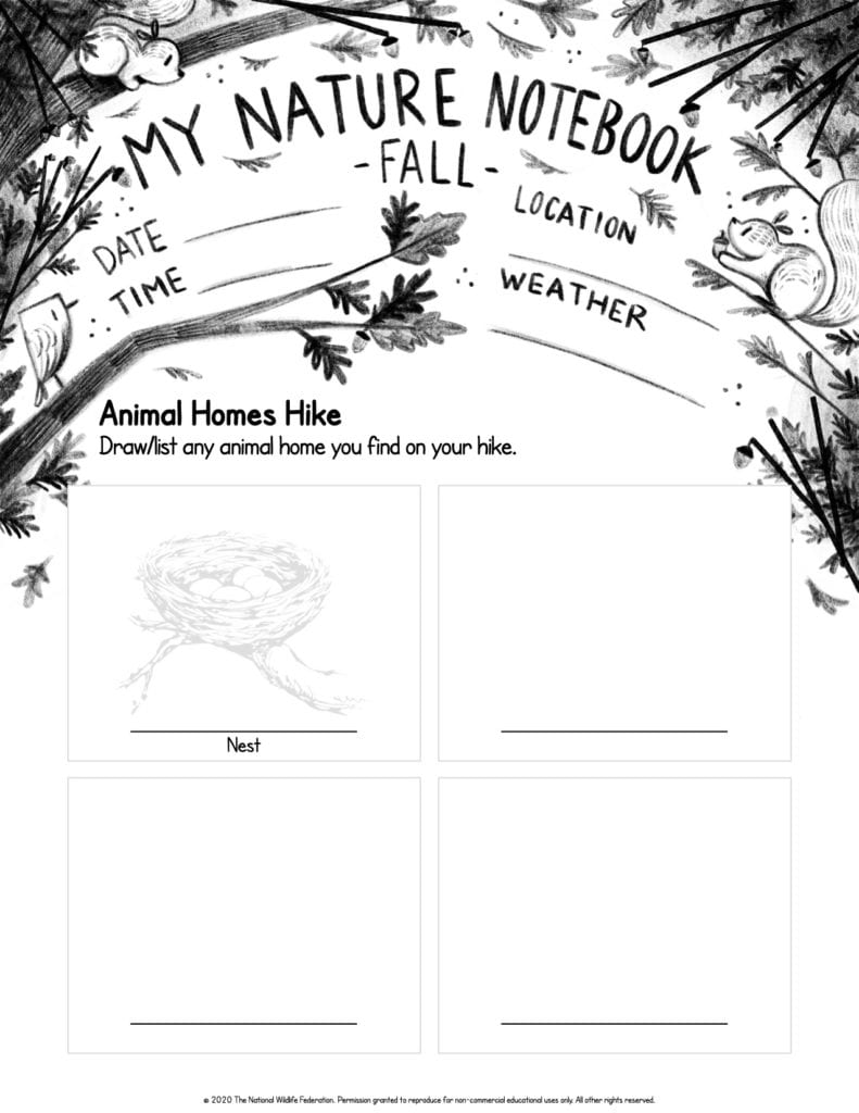 Animal Homes Hike - NWF Green Hour