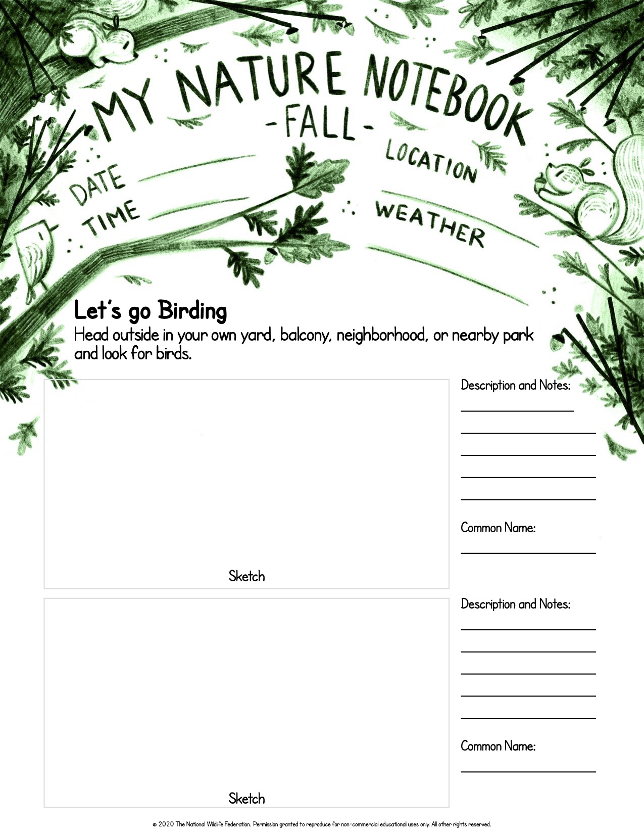 Let's Go Birding - NWF Green Hour