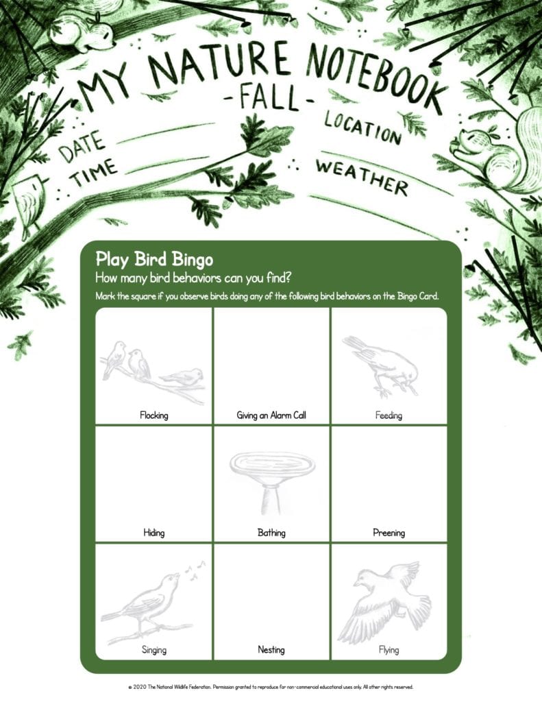 Fall Bird Bingo - NWF Green Hour