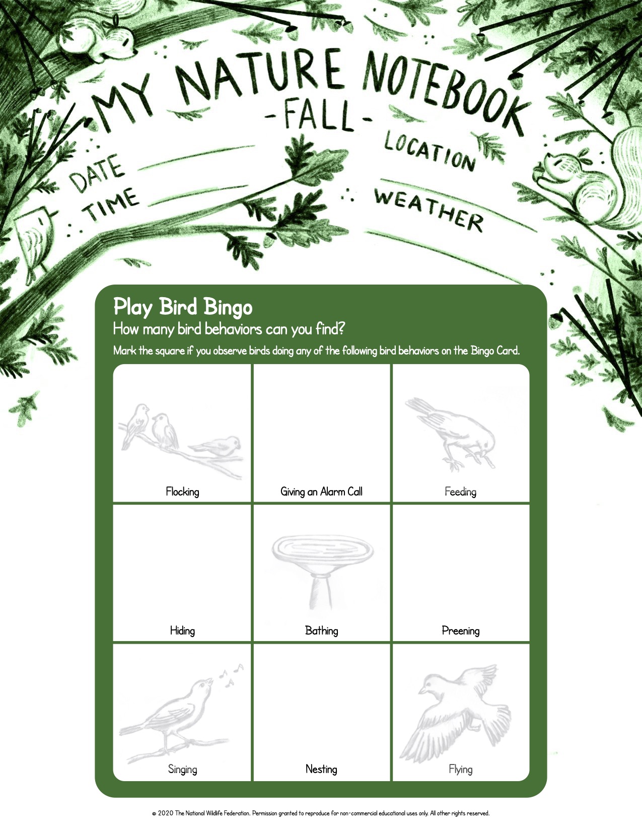 Fall Bird Bingo - NWF Green Hour
