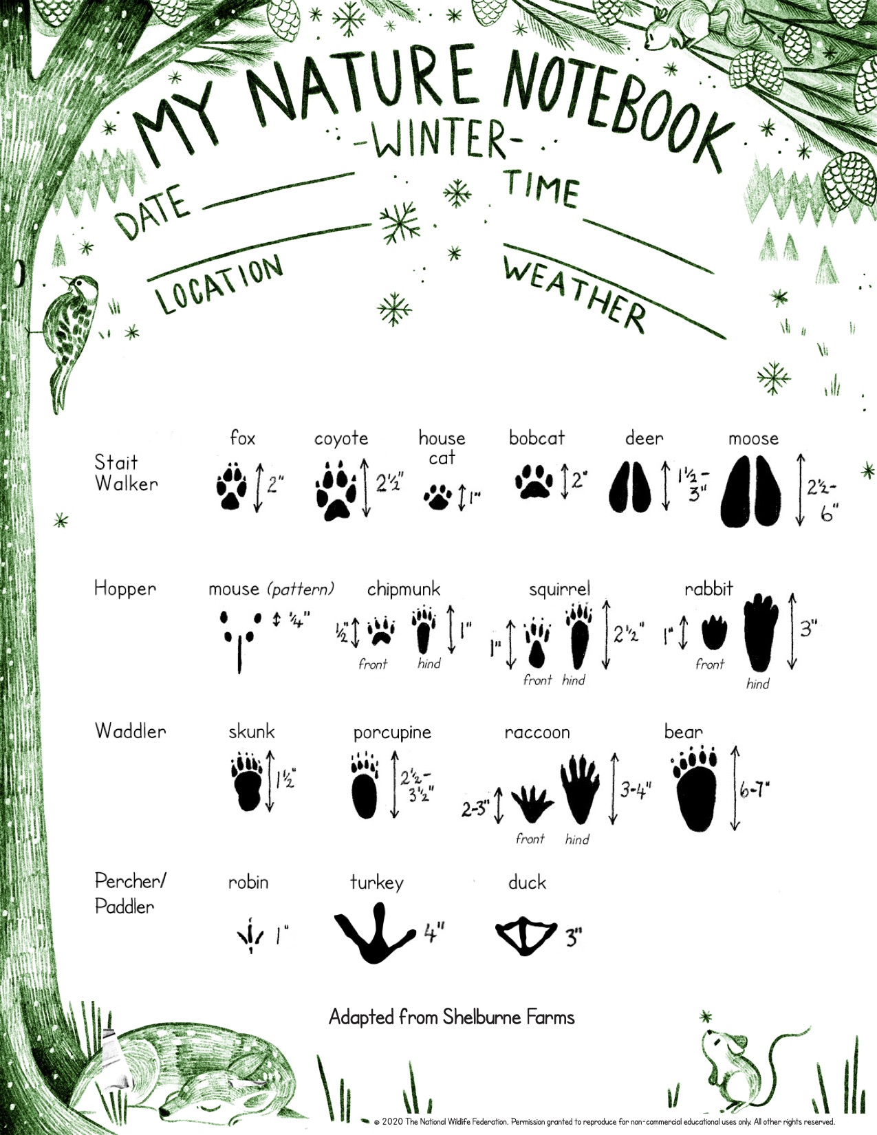 Look for Animal Tracks - NWF Green Hour