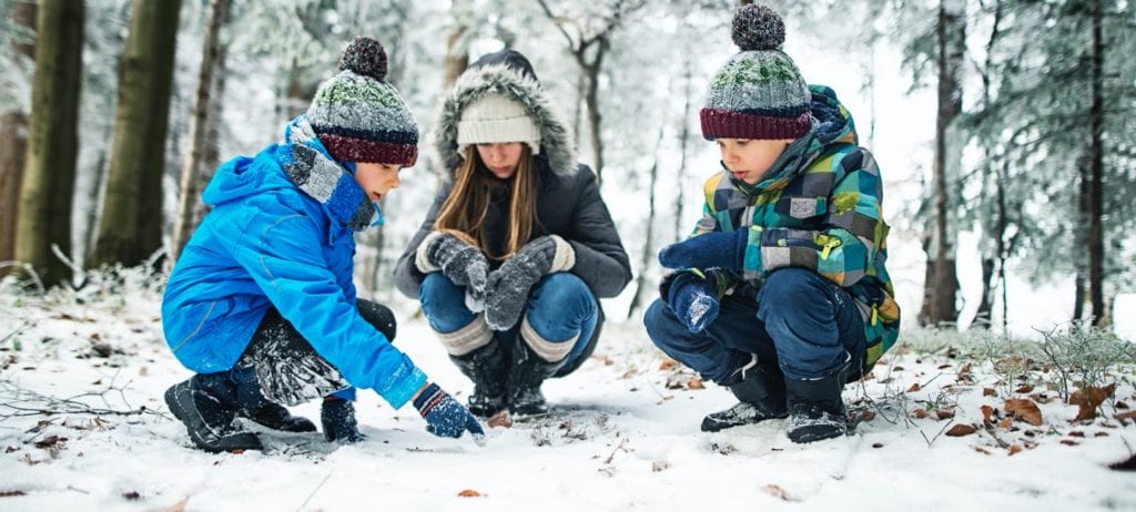 Signs of Winter - NWF Green Hour