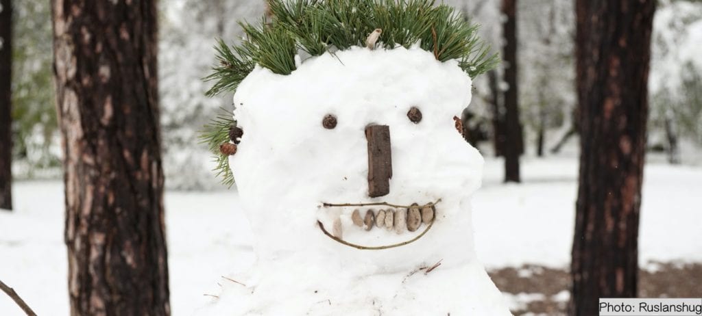 Make a Snow Animal - NWF Green Hour