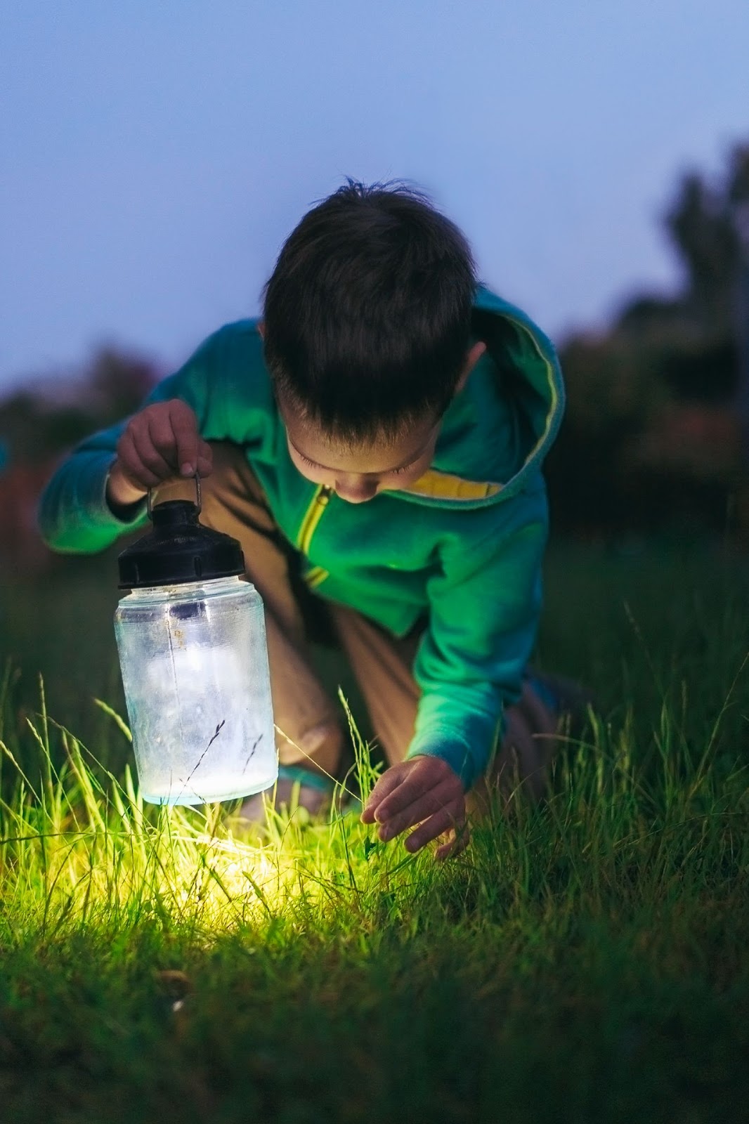 Finding Fireflies - NWF Green Hour
