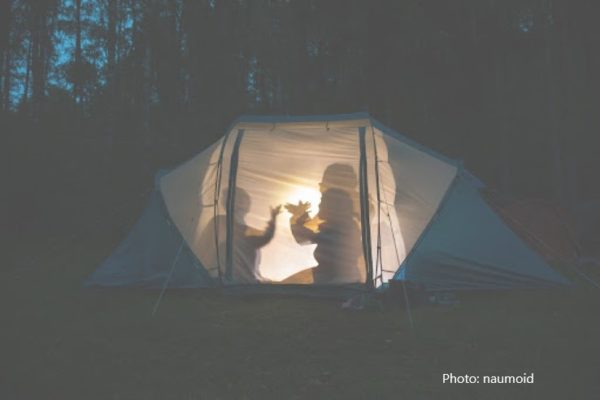 Make Shadow Puppets - NWF Green Hour